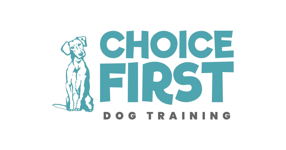 Choice First Dog Training